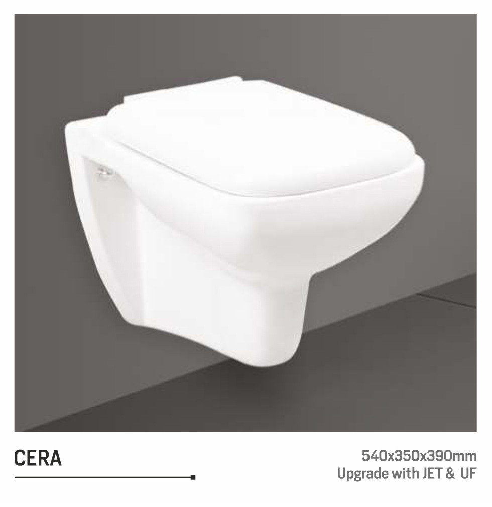 Jordan Wall Hung Tankless Toilet | China Ceramic Sanitary Ware Back to ...